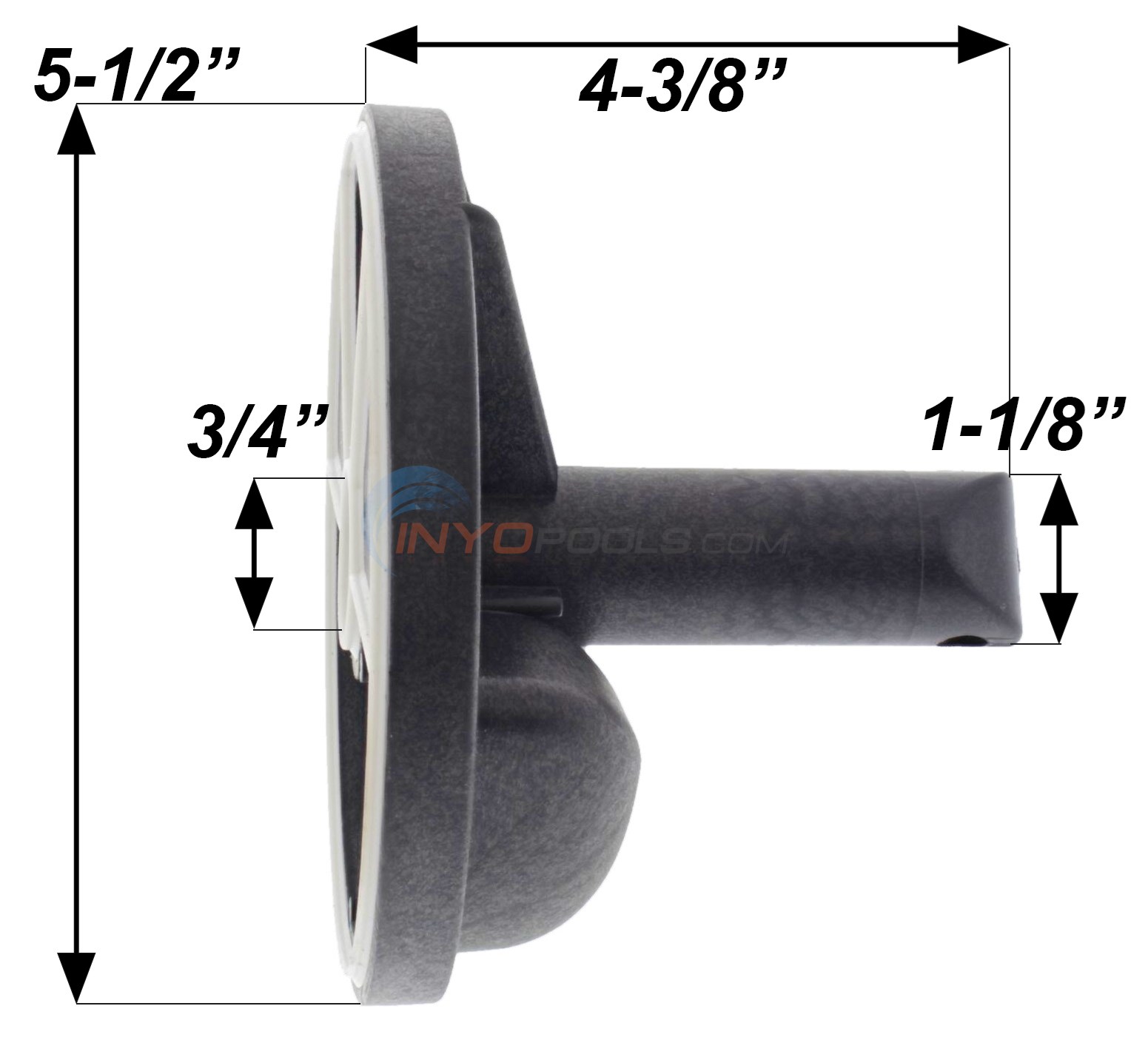 Pentair Sta-Rite WC112 Plug and Gasket Assembly, Includes Spider Gasket ...