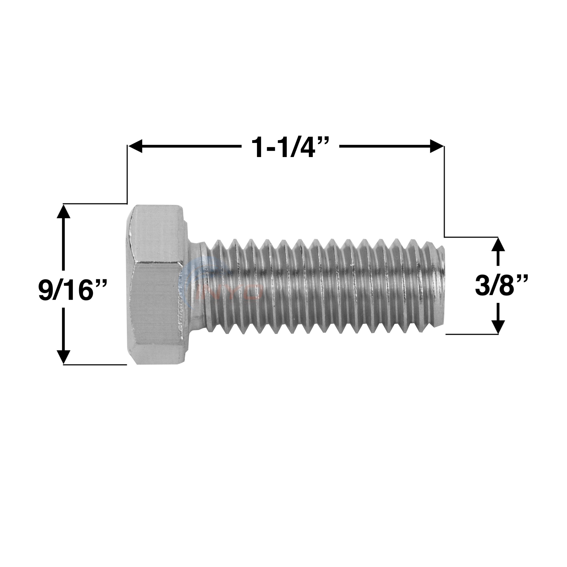 SPX0125Z44 Motor Cap Screw, Set of 4, Compatible with Hayward | By ...