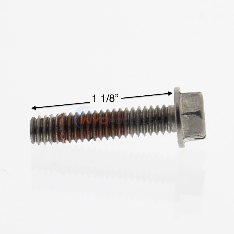 Pentair Impeller Locking Screw- 355389 - INYOPools.com