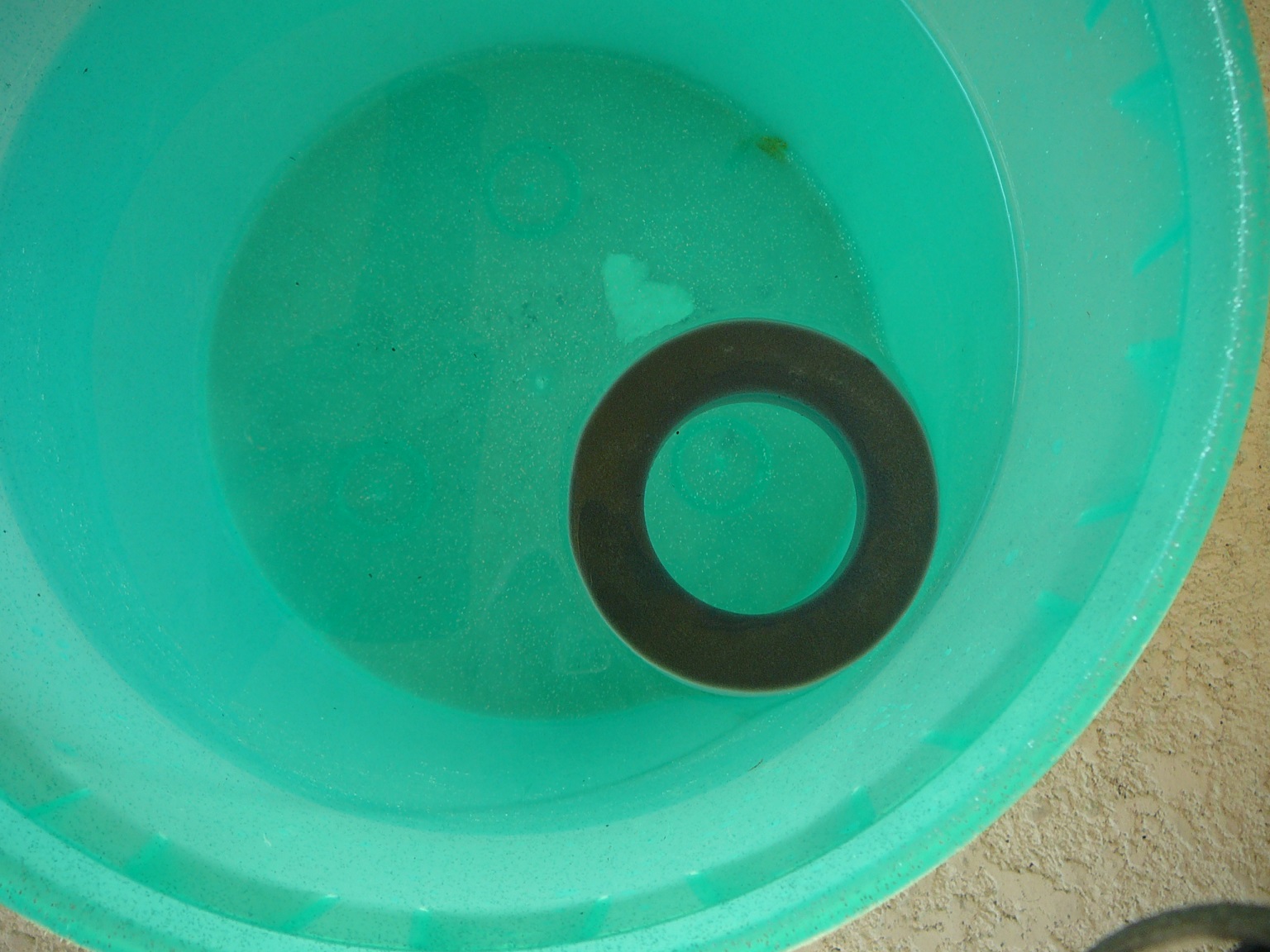 How to Replace a Smartpool NC22 Robotic Pool Cleaner Foam Ring ...