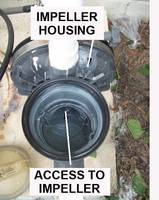 How To Clean Out a Pool Pump Impeller - INYOPools.com