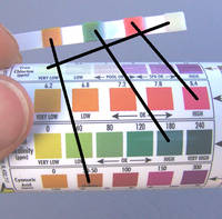 How to use Aqua Check Test Strips in your Spa - INYOPools.com