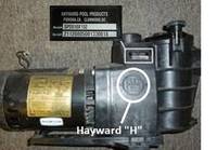 How To Choose The Right Replacement Pool Pump Motor - INYOPools.com