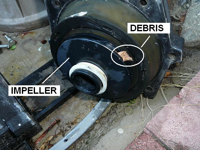 How To Replace Pool Pump Gaskets - INYOPools.com