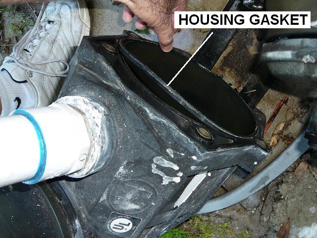 How To Replace Pool Pump Gaskets - INYOPools.com