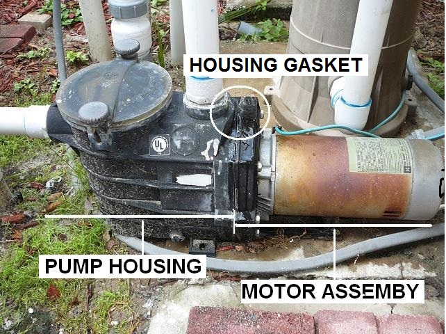 How To Use a Tune up / GO-KIT - INYOPools.com