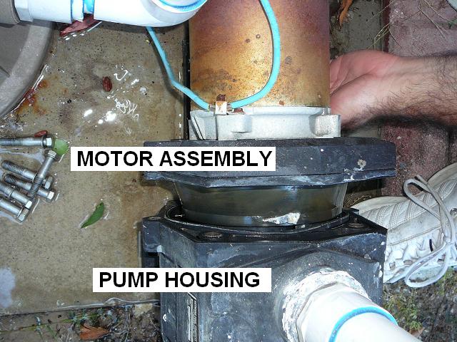 How To Replace Pool Pump Gaskets - INYOPools.com