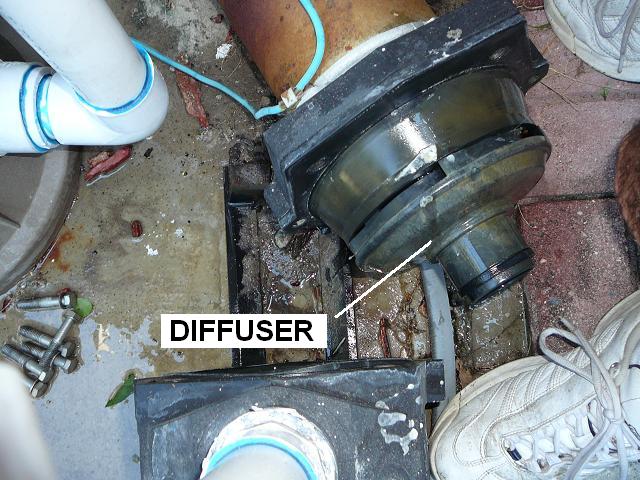 How To Replace Pool Pump Gaskets - INYOPools.com