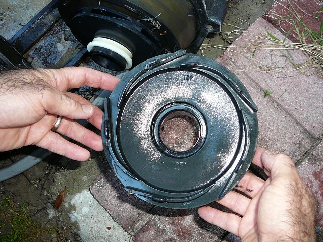 How To Replace Pool Pump Gaskets - INYOPools.com