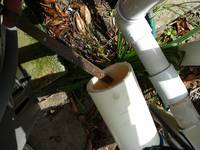 How To Add a Pool Waste Line - INYOPools.com