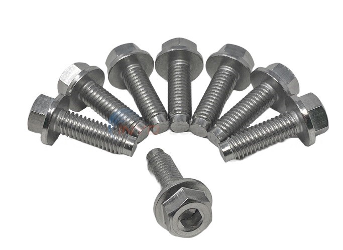 Pentair IntelliFlo3 VSF Seal Plate to Strainer Pot Bolts (Pack of 8 ...