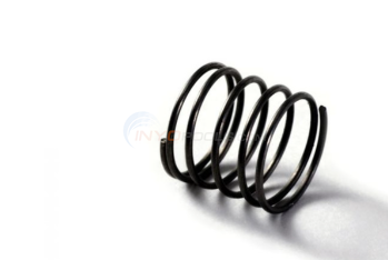 Maytronics Dolphin CC Filter Springs - 3917022 - INYOPools.com