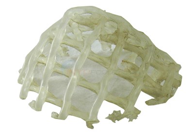Ltd Qty (sa) Screen, Cone For Bp-6 Brominator - 2115-P139 - INYOPools.com