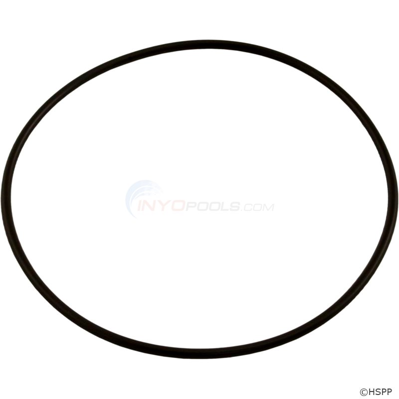 Pentair O-ring, Lid/Cover - OEM 355619/355619Z - INYOPools.com