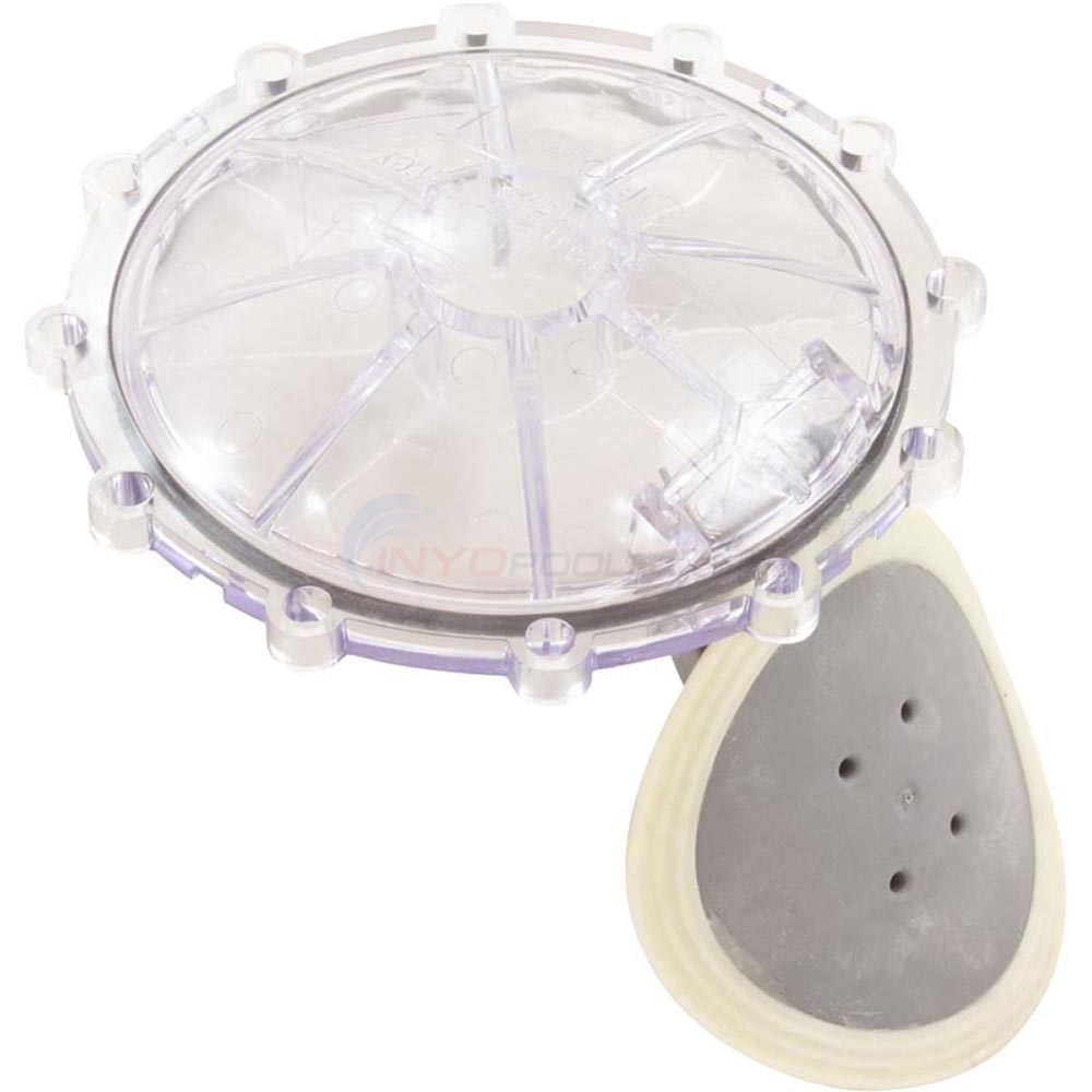 Pentair Check Valve Flapper Replacement Kit - 270119Z - INYOPools.com