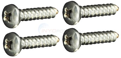 Poolvergnuegen Pressure Shroud Screw (set Of 4) - INYOPools.com