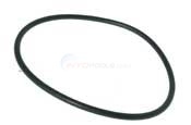 Parco O-ring (240) - INYOPools.com