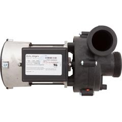 Pump, BWG Vico Ultimax GE, 3.0hp, 230v, 2"mbt, OEM Single Speed ...