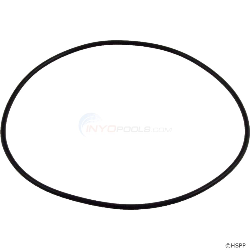 O-ring, Bracket (P95) - INYOPools.com