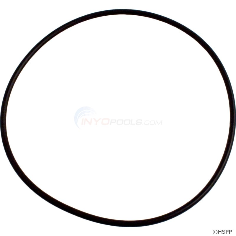 Generic Seal Plate O-Ring for Sta-Rite Dura-Glas and Max-E-Glas Pump ...