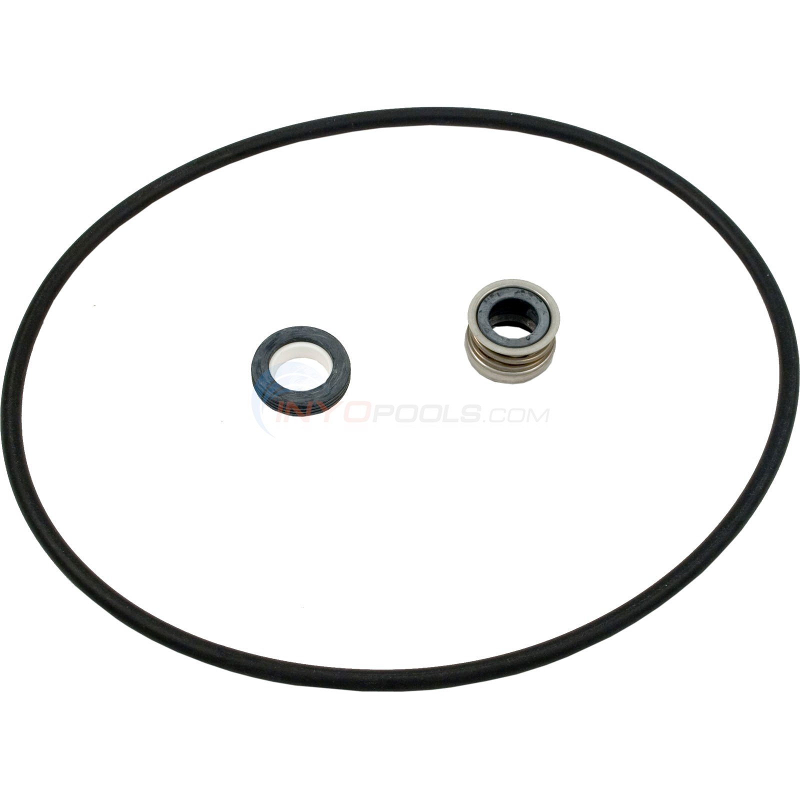 Sta-Rite Dura-Glas II, Max-E-Glas II, and Max-E-Pro Series Pump Seal ...