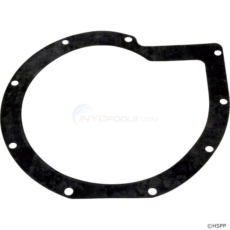 Sta-Rite LT Pump Gasket - C2031B - INYOPools.com