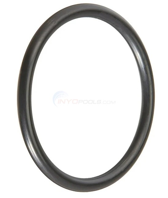Pentair® IntelliFlo3® VSF Diffuser O-Ring - 356190Z - INYOPools.com