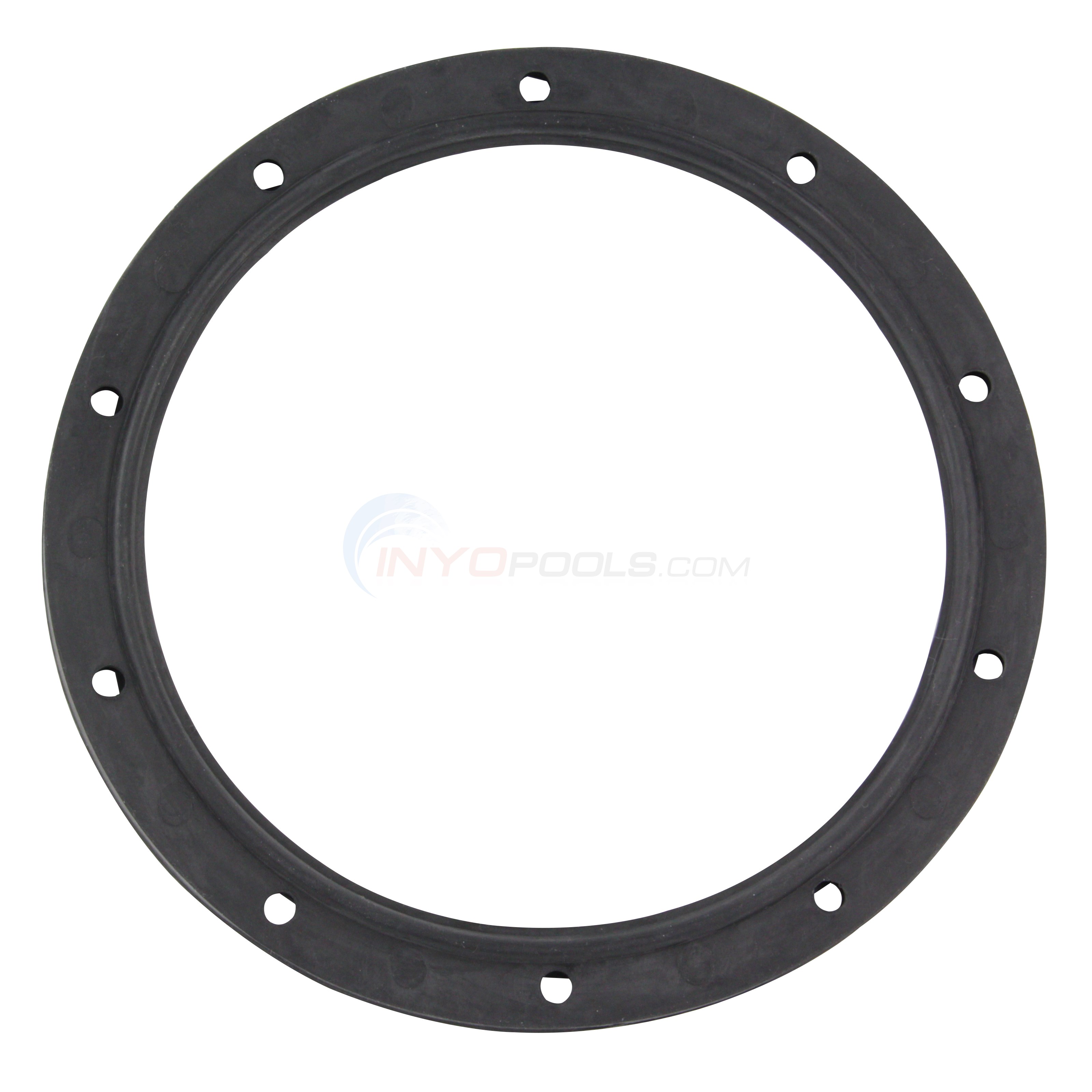 Sta-Rite SwimQuip Pool Light Lens Gasket, Generic O-173 for 05057-0118 ...