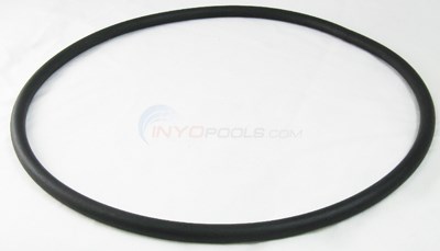 Pentair PacFab Filter Tank O-Ring for Star and Mytilus Filters, PF 17 ...