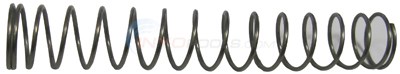 Pentair Spring SS 3lb - Ortega Check Valve (072524) - INYOPools.com