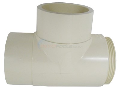 Pentair Housing, 2" Spring Check Valve (072519) - INYOPools.com