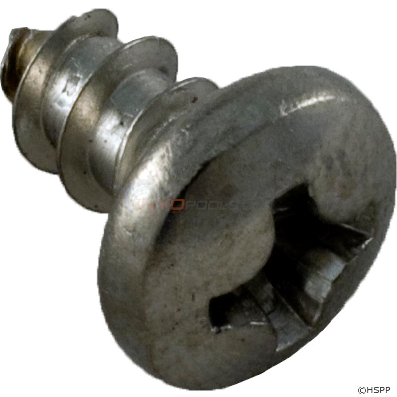 Screw #6x.25 Ph Rh Ss Pl (71716) - INYOPools.com
