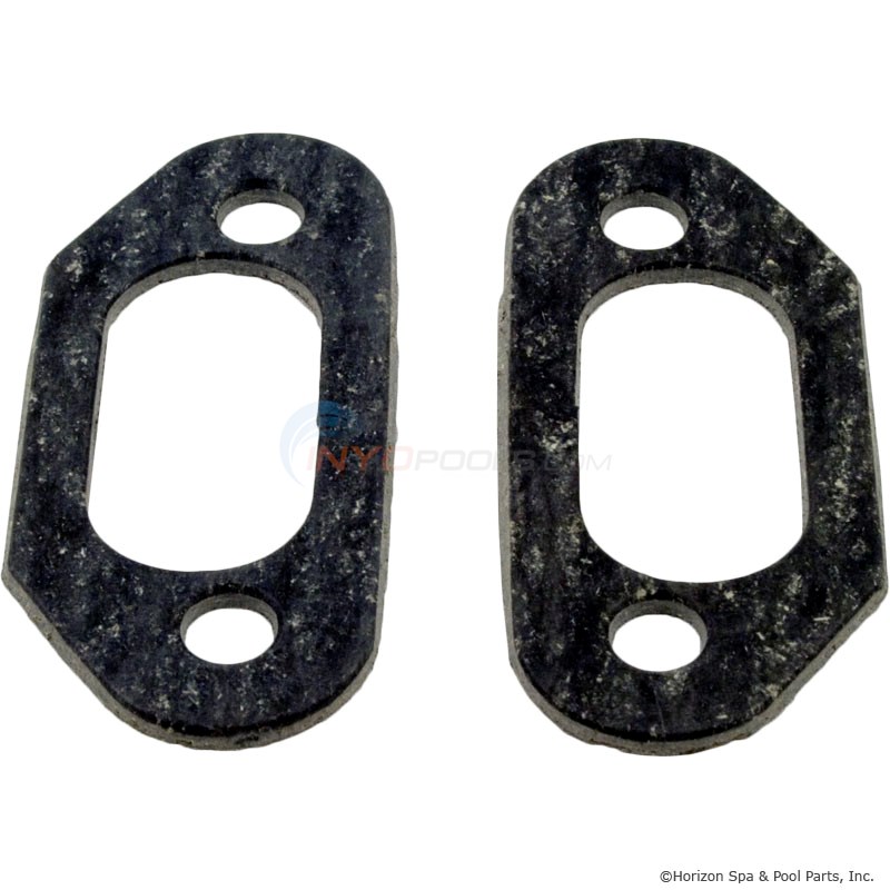 Igniter Gasket (R0205300) - INYOPools.com