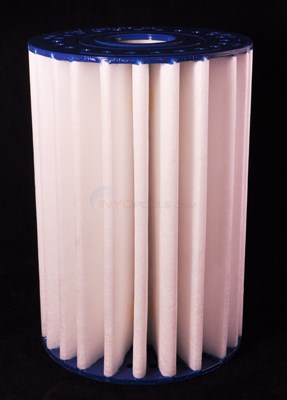 Hayward RG450 Regenx Grid - RGX55GE - INYOPools.com