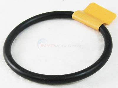 Aladdin Diffuser O-ring for Pentair Sta-Rite Pumps - 35505-1424 - INYOPools.com