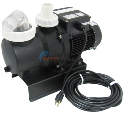 Vogue Motor Asy 1/3 Hp Espa W/25'-9" (42099) - INYOPools.com