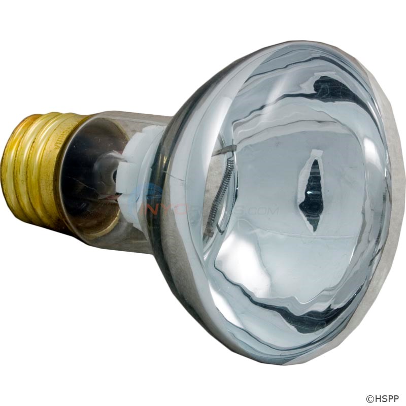 Bulb 100w 12v R20 Sb (79108100) - INYOPools.com
