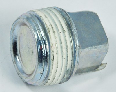Pentair Pipe Plug 3/4" - U78-60ZPS - INYOPools.com