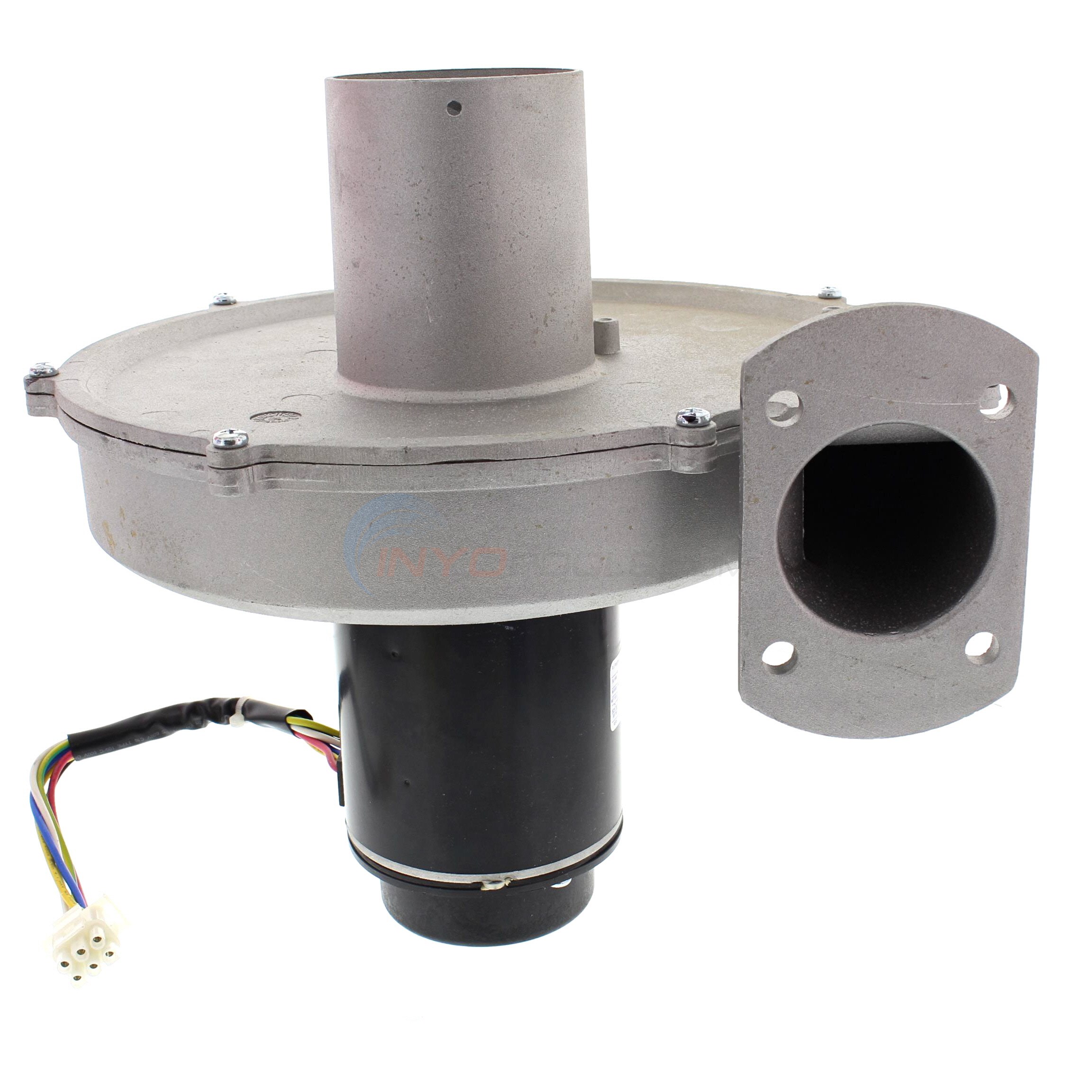 Pentair Air Blower Kit250k Lp, Mastertemp (460744) - INYOPools.com