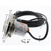 Pentair IntelliBrite 5G LED Color Light for Inground Spa, 12V, 100 ...