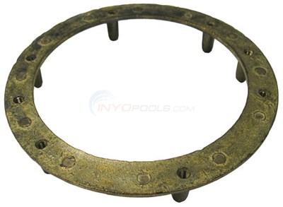 Pentair Ring, Back-up (79205600) - INYOPools.com