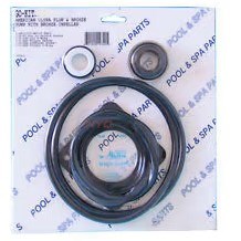 Speck Pumps Tune Up Kit - Model A91 - SPK-A91-GOKIT - INYOPools.com