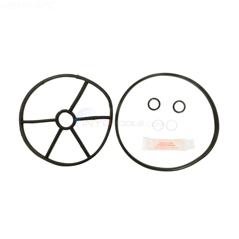 Tune Up Kit American Products Multiport Valve, After 1976 - INYOPools.com