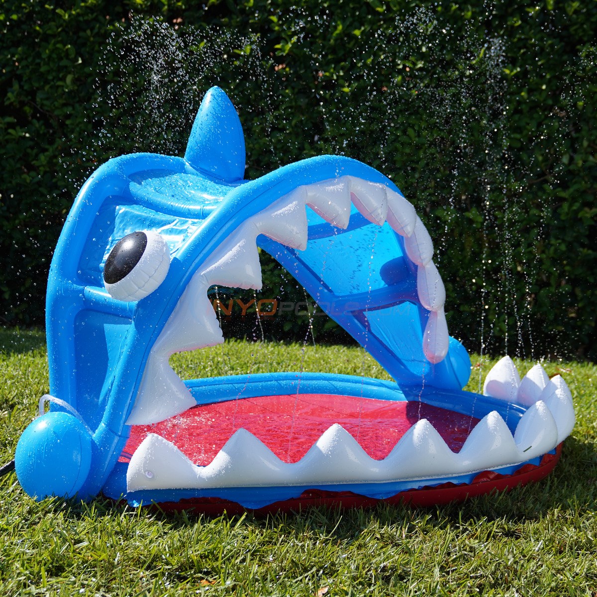 Aqua Leisure Mega Shark Sprinkler Shade-N-Play Splash Mat - INYOPools.com