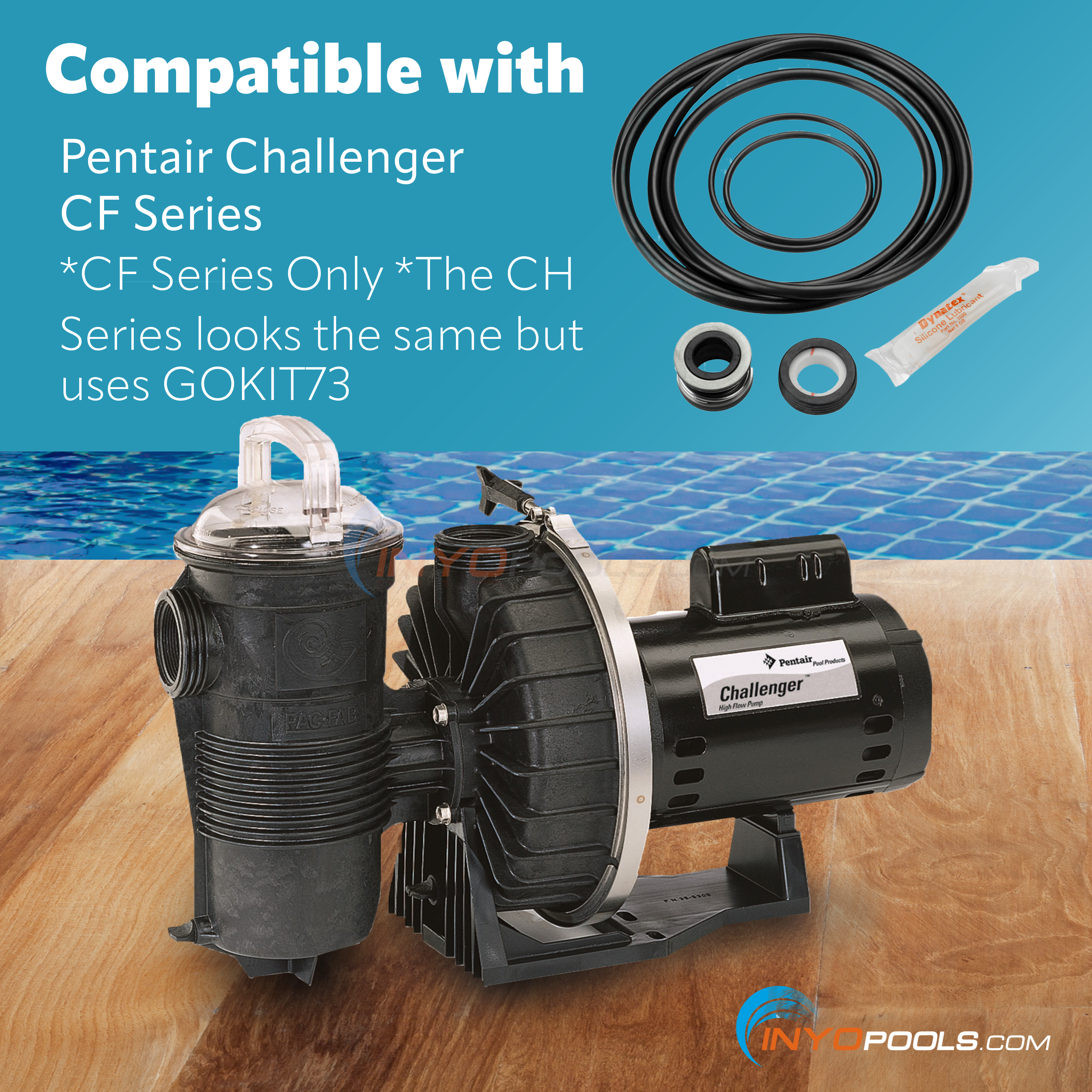 Pentair Challenger CHII Series Pool Pump Seal Kit | By Pureline ...