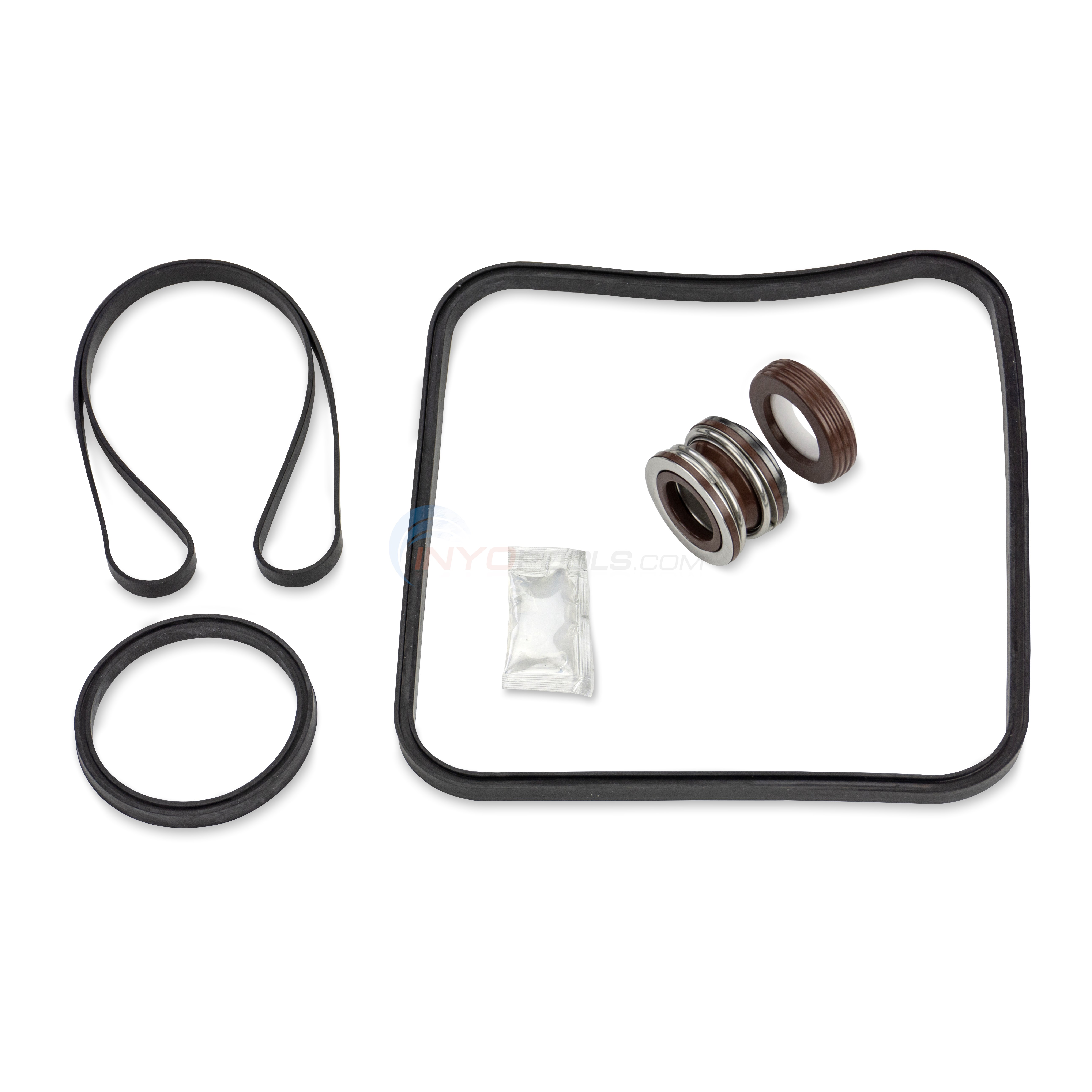 PureLine Hayward Super Pump Saltwater Seal Kit - GOKIT3SALT - INYOPools.com