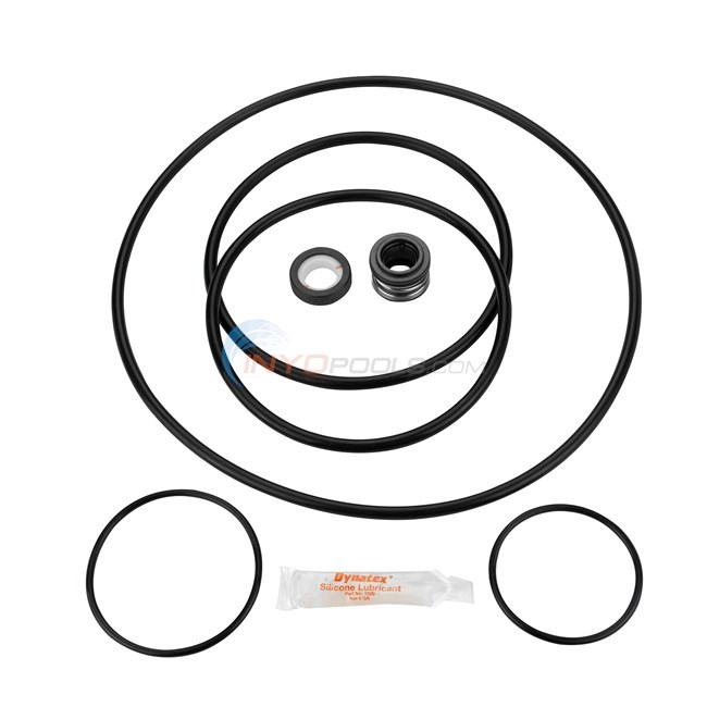 Pentair Challenger CHII Series Pump Seal Kit | By Pureline | GOKIT5SALT ...
