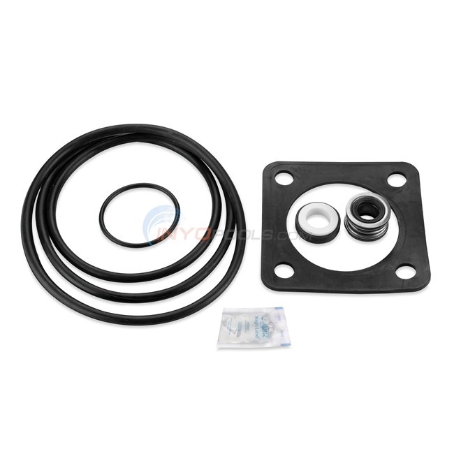 Saltwater Tune Up Kit Sta-Rite Dura-Glas & Max-E-Glas Pump 1998 To ...