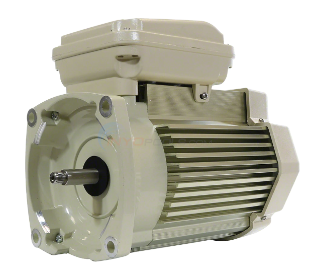 Pentair 2 HP Pump Motor, Square Flange, Single Speed, 3-Phase 208-230/ ...
