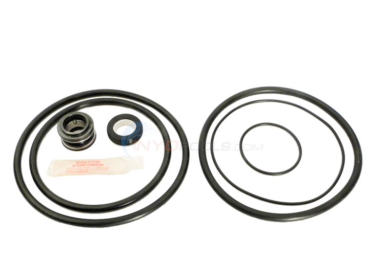 Aladdin Pentair, Pac Fab Hydropump Seal Kit - Model GOKIT22 - INYOPools.com